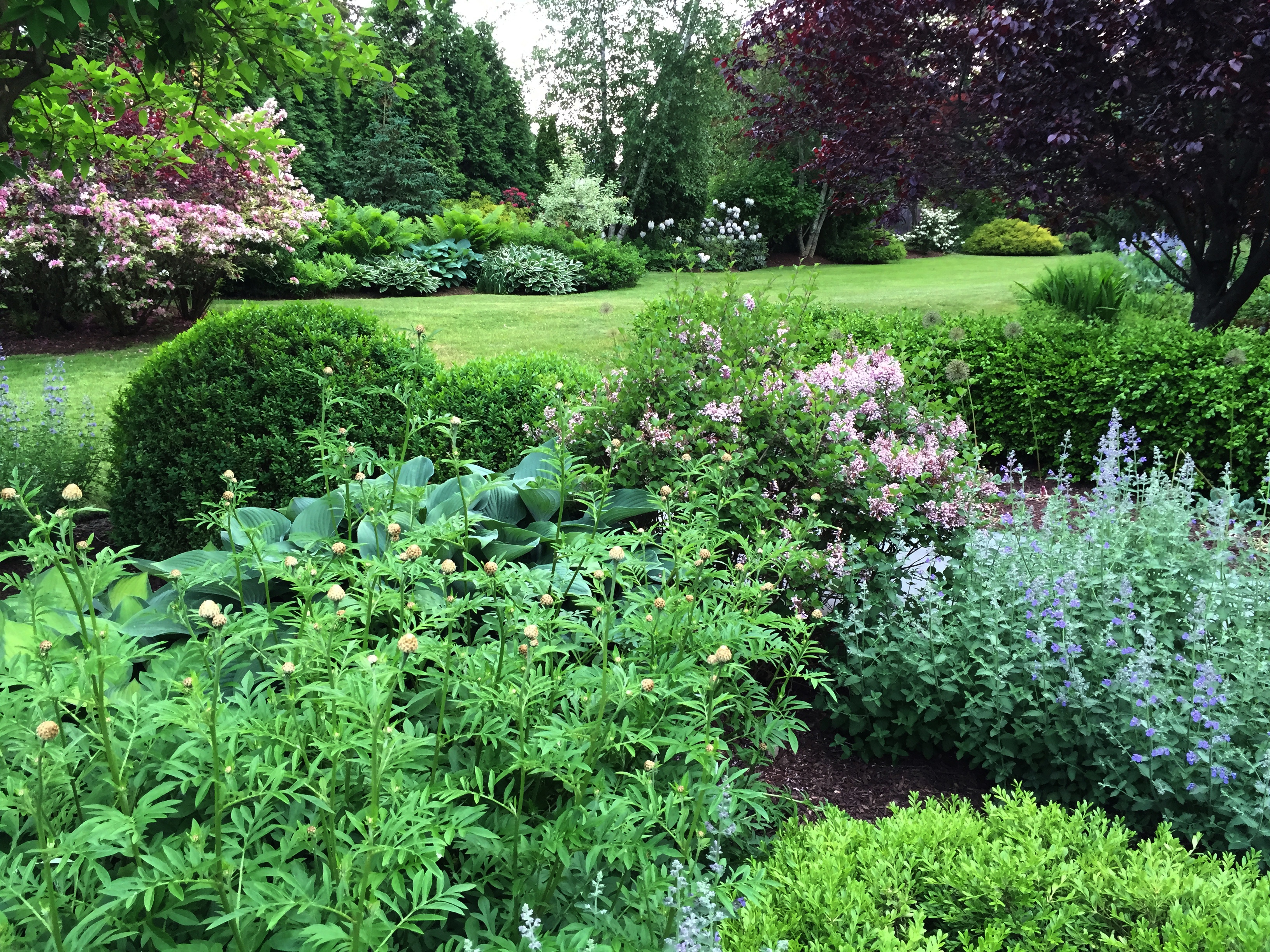 Bluestone Entry Walk – PetrowGardens; landscape design, landscape ...
